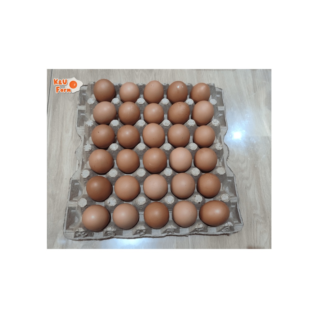 Jual Telur Ayam Negri (Horn) Kuning Grade AA | Shopee Indonesia
