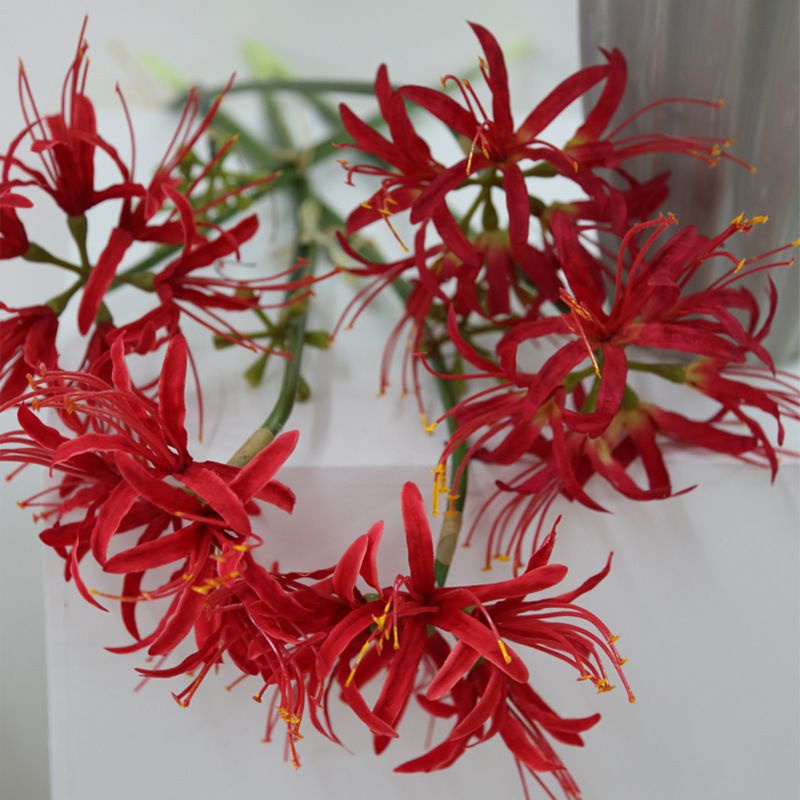 Jual [ICEWAY] Bunga Higabana Red Spider Lily Artifisial Lycoris Radiata ...