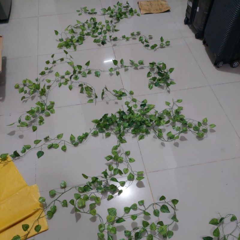 Jual obral cuci gudang bunga Daun Rambat 9 pcs | Shopee Indonesia