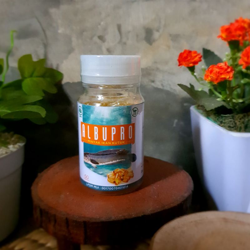 Jual Minyak Ikan Kutuk Kapsul Minyak albumin Premium Original Halal ...