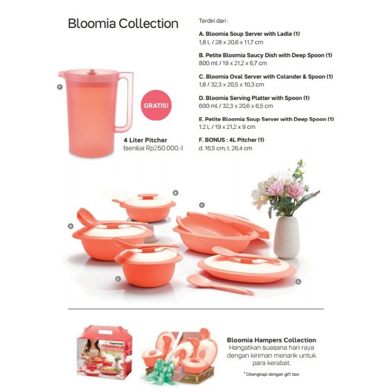 Jual Bloomia Collection | Shopee Indonesia