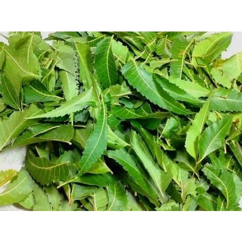 Jual Buruan beli] Serbuk Daun Mimba 1 Kg Simplisia Bubuk Murni Neem ...