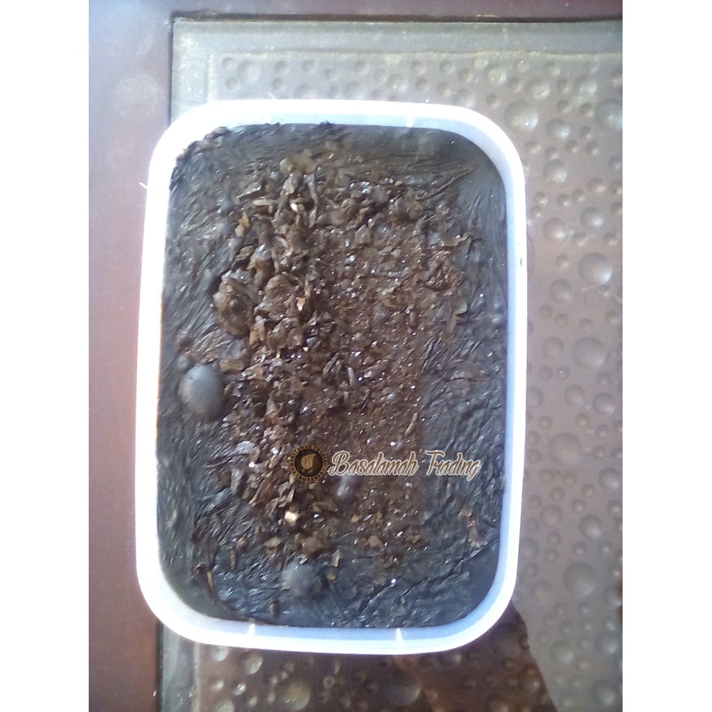 Jual Getah Gaharu Merauke 100% Murni | Shopee Indonesia