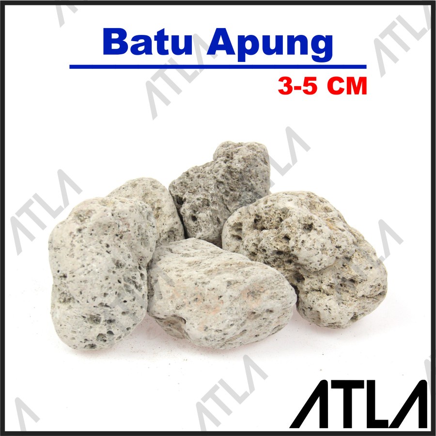 Jual Batu Apung 3-5 cm Media Filter Air Tawar Laut Kolam Ikan Pumice ...