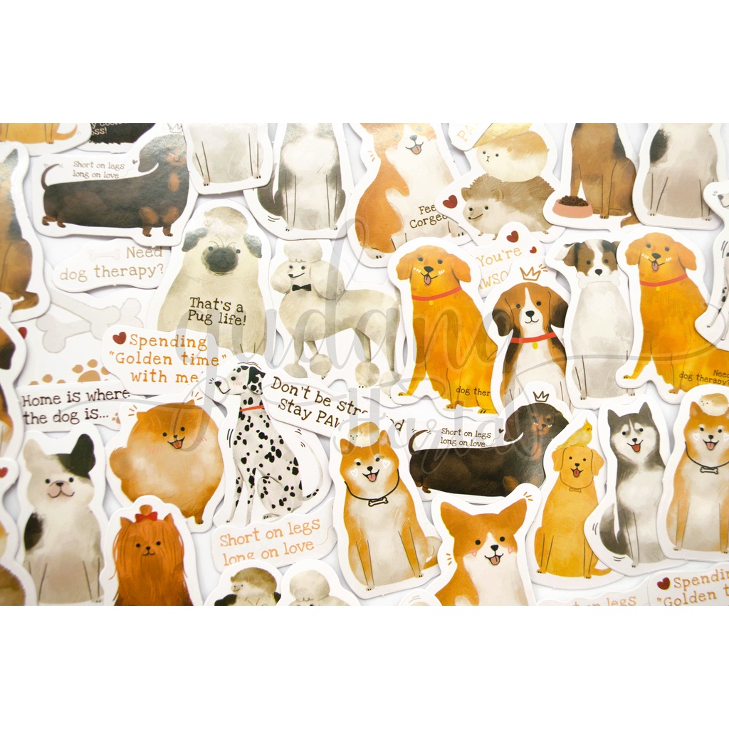 Jual Stiker Dog And Quotes Deco Sticker Motif Anjing Unik DIY GH 303498 ...