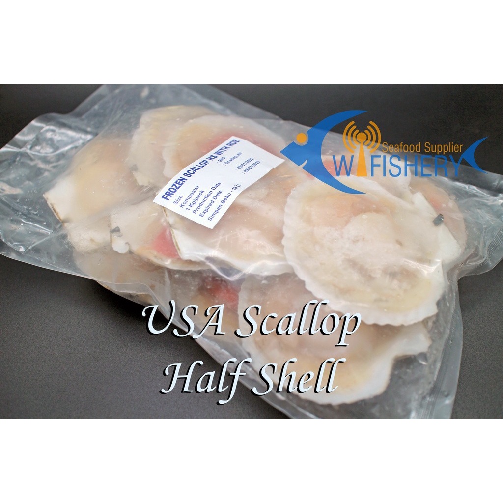 Jual Scallop Half Shell USA | Shopee Indonesia