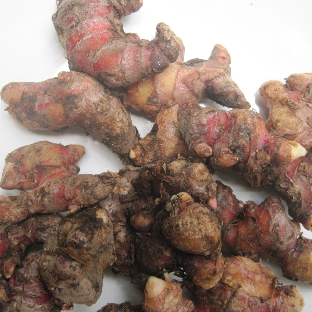 Jual Jahe Merah 1kg | Bumbu | Rempah | Herbal | Shopee Indonesia