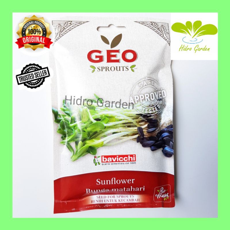 Jual Benih / Bibit Microgreen Sunflower / Bunga matahari Geo Sprout 80 ...