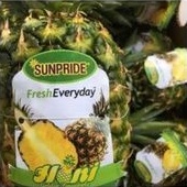 Jual Buah nanas madu honey sunpride (kupas) | Shopee Indonesia