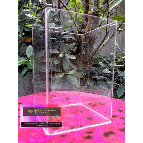 Jual Soliter akrilik cupang guppy 10x10x15 cm | Akuarium akrilik cupang ...