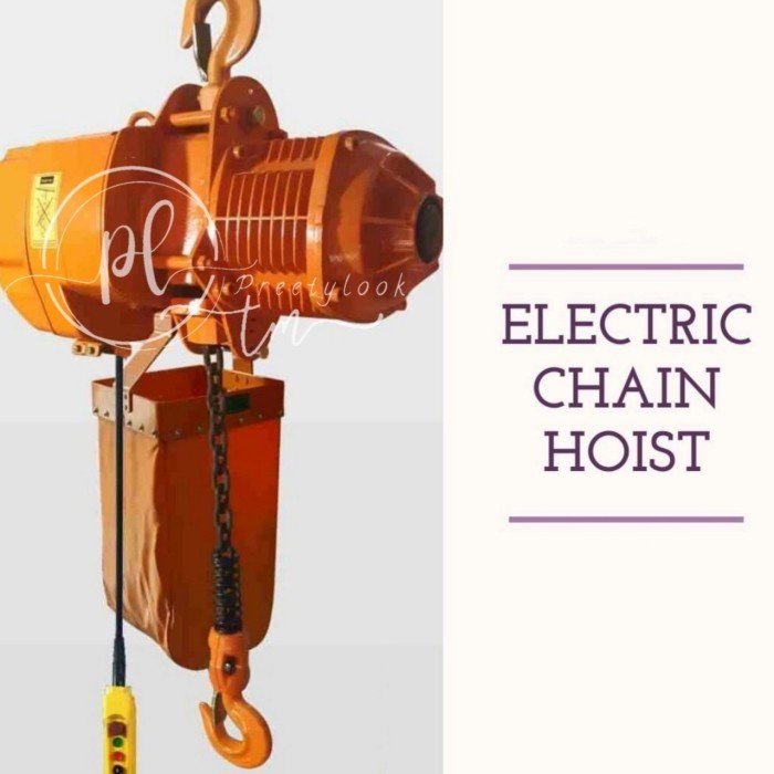 Jual Blockchain- Pl)Electric Chain Hoist 1 Ton X 6 M Elektrik Chain ...
