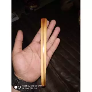 Jual Gading Gajah Asli Terlengkap & Harga Terbaru Juli 2024 | Shopee ...