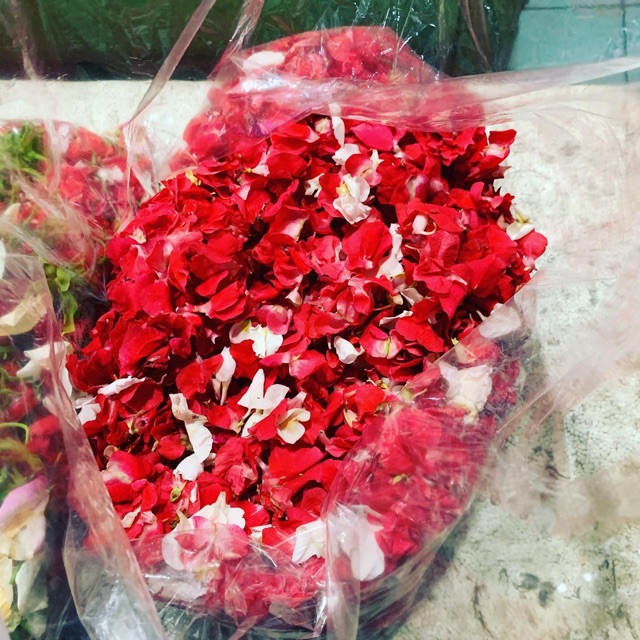 Jual Bunga tabur | Shopee Indonesia