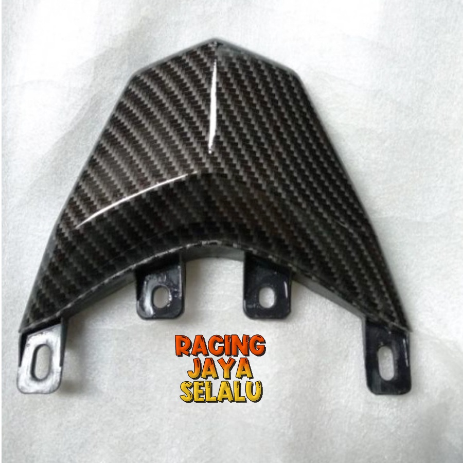 Jual Cover Tail r15 Carbon ducktail R15 VVA V3 carbon Ducktail Carbon ...