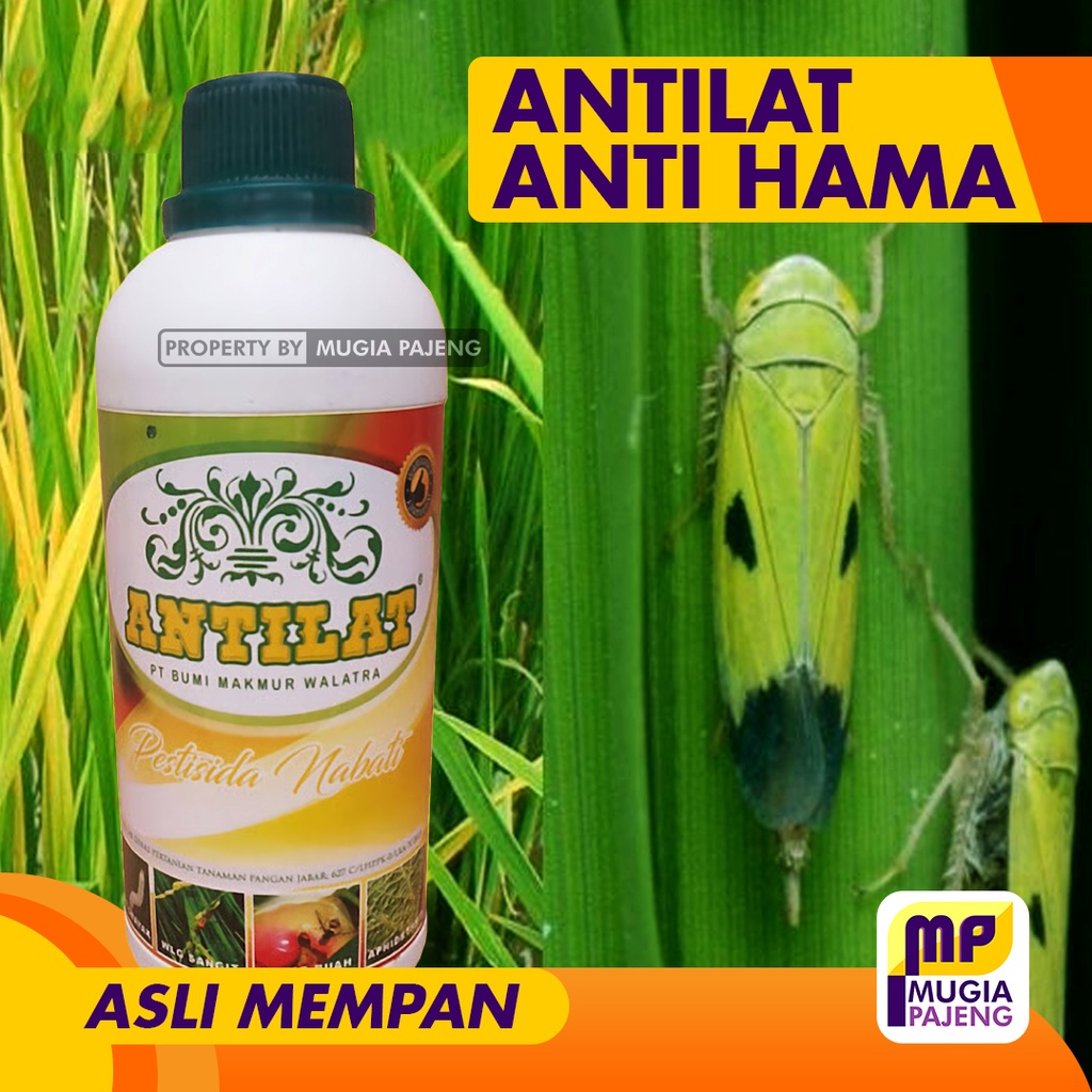 Jual Pupuk Pestisida Organik Bukan Pupuk Kandang Obat Pembasmi Hama Tanaman Racun Anti Tungro ...