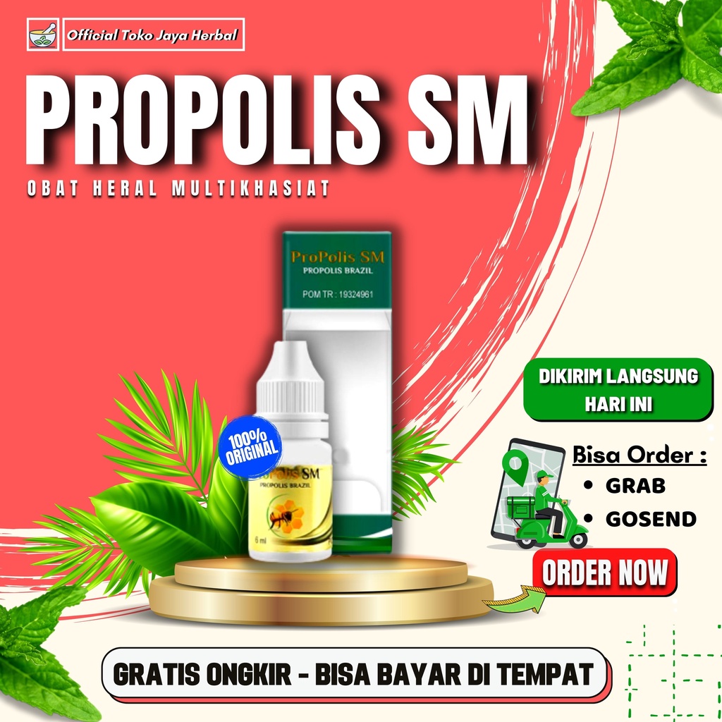 Jual PROPOLIS SM - Obat Oles Benjolan Di Atas Alis, Benjolan Di Mata ...