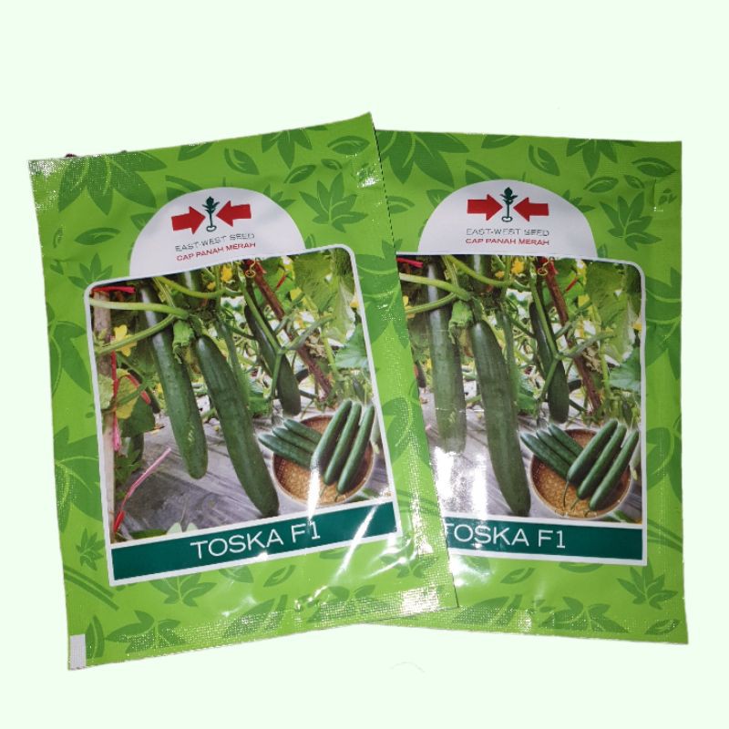 Jual BENIH TIMUN JEPANG TOSKA / KREI / IJO | Shopee Indonesia