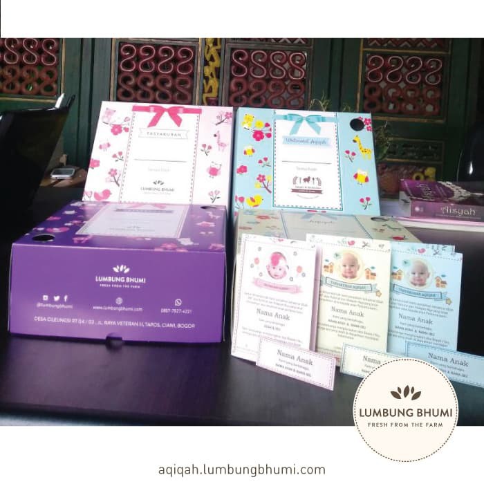 Jual BUA-354 Paket Aqiqah Nasi Box SEDERHANA ( Anak Perempuan - 1 ...