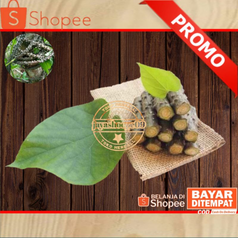 Jual Brotowali Bratawali Batrawali Patrawali atau Akar Aliali 250grm ...