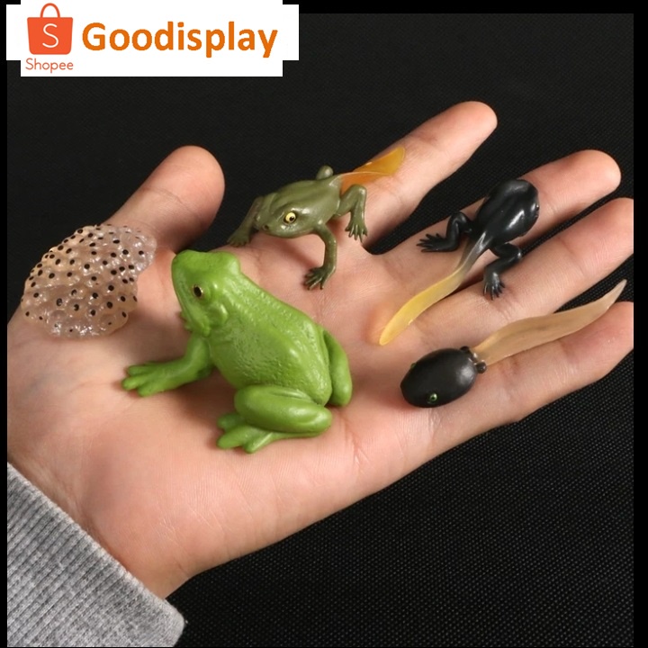 Jual aneka mainan edukasi siklus hidup hewan binatang animal figure ...