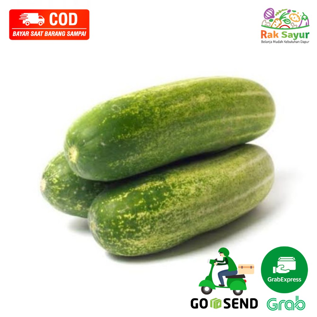 Jual Sayuran Segar Rak Sayur Padang Fresh Timun Mentimun Lokal Cucumber ...