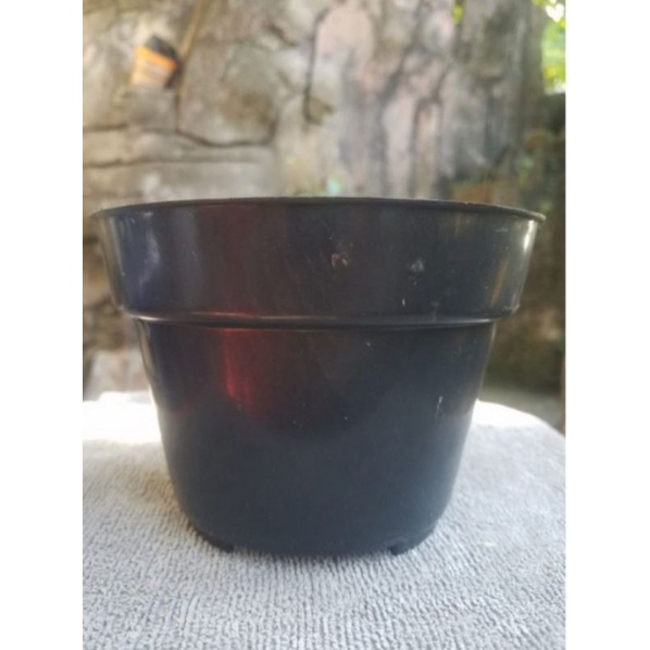 Jual pot hitam polos plastik UK.15 (1Lusin) | Shopee Indonesia