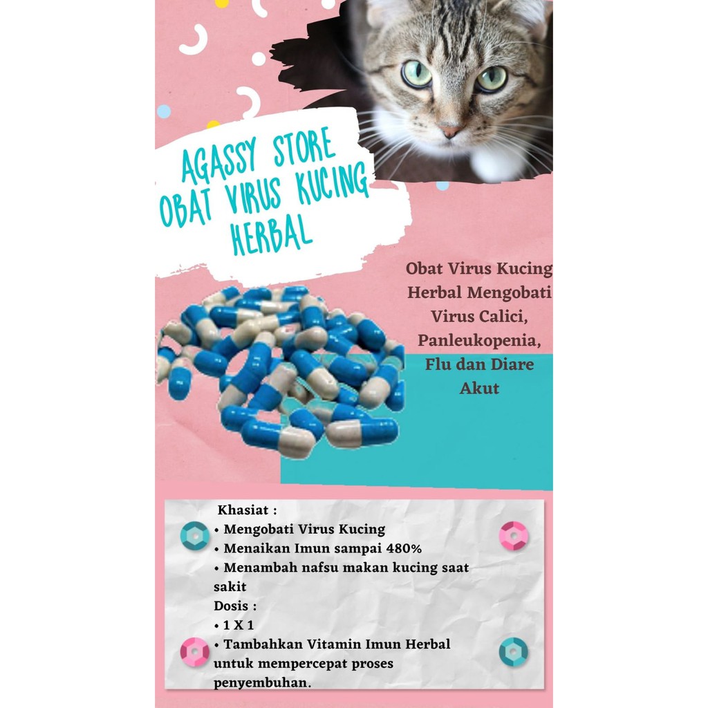 Jual FurYou Obat racikan Kucing Paten KAPSUL Virus, Flu Berat, Panleu ...