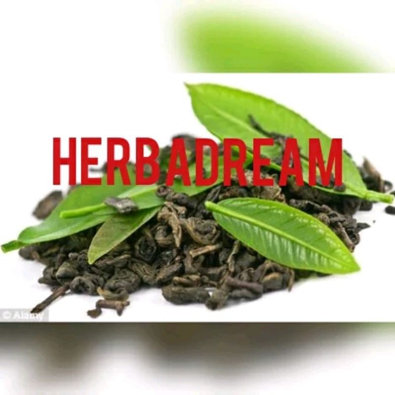 Jual 100 TEH HIJAU IJO LOKAL CAMELLIA SINENSIS LOCAL GREEN TEA HANZI ...