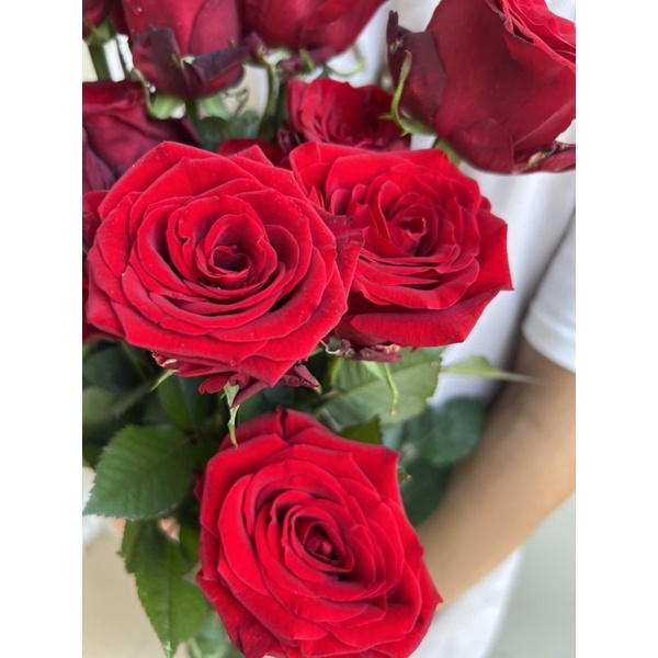 Jual INSTANT SAMEDAY DELIVERY Mawar Rose Per Tangkai Fresh Flowers ...