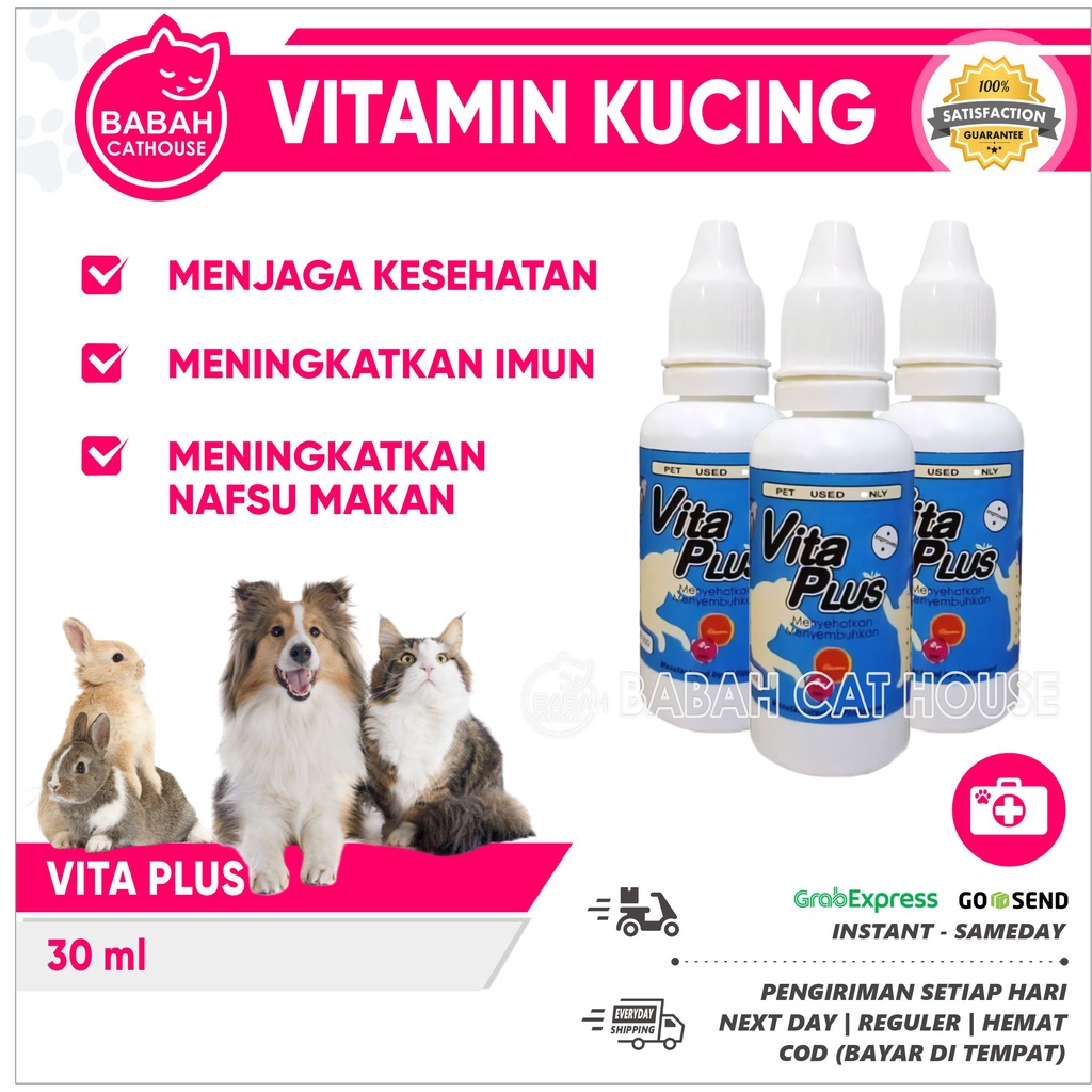 Jual VITA PLUS Vitamin Kucing Anjing Kelinci Vitaplus Gel Nafsu Makan Murah Penguat Imun Sakit ...