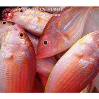 Jual Ikan Kurisi Terlengkap & Harga Terbaru Juli 2024 | Shopee Indonesia