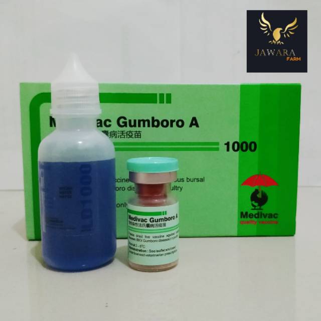 Jual Vaksin Gumboro 1000 Ekor NON COD | Shopee Indonesia