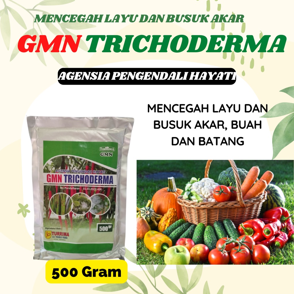 Jual Pupuk Fungisida Hayati Tricoderma Layu Fusarium Pisang, Busuk Buah Cabe - Semangka ...