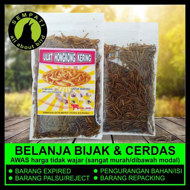 Jual Indh Ulat Hongkong Kering Makanan Sugar Glider / Gecko / Burung ...