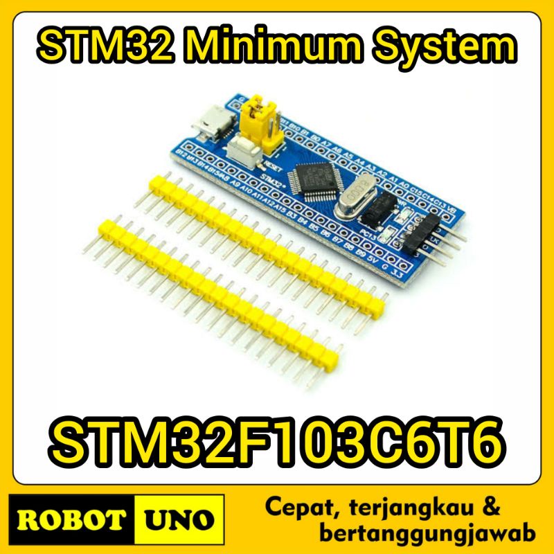Jual STM32F103C6T6 ARM STM32 Minimum System Development Board Module | Shopee Indonesia