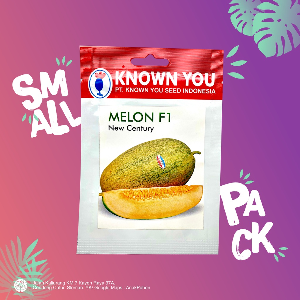 Jual (1 PACK) Benih Melon F1 Hami Hamigua NEW CENTURY Seeds - Known You ...