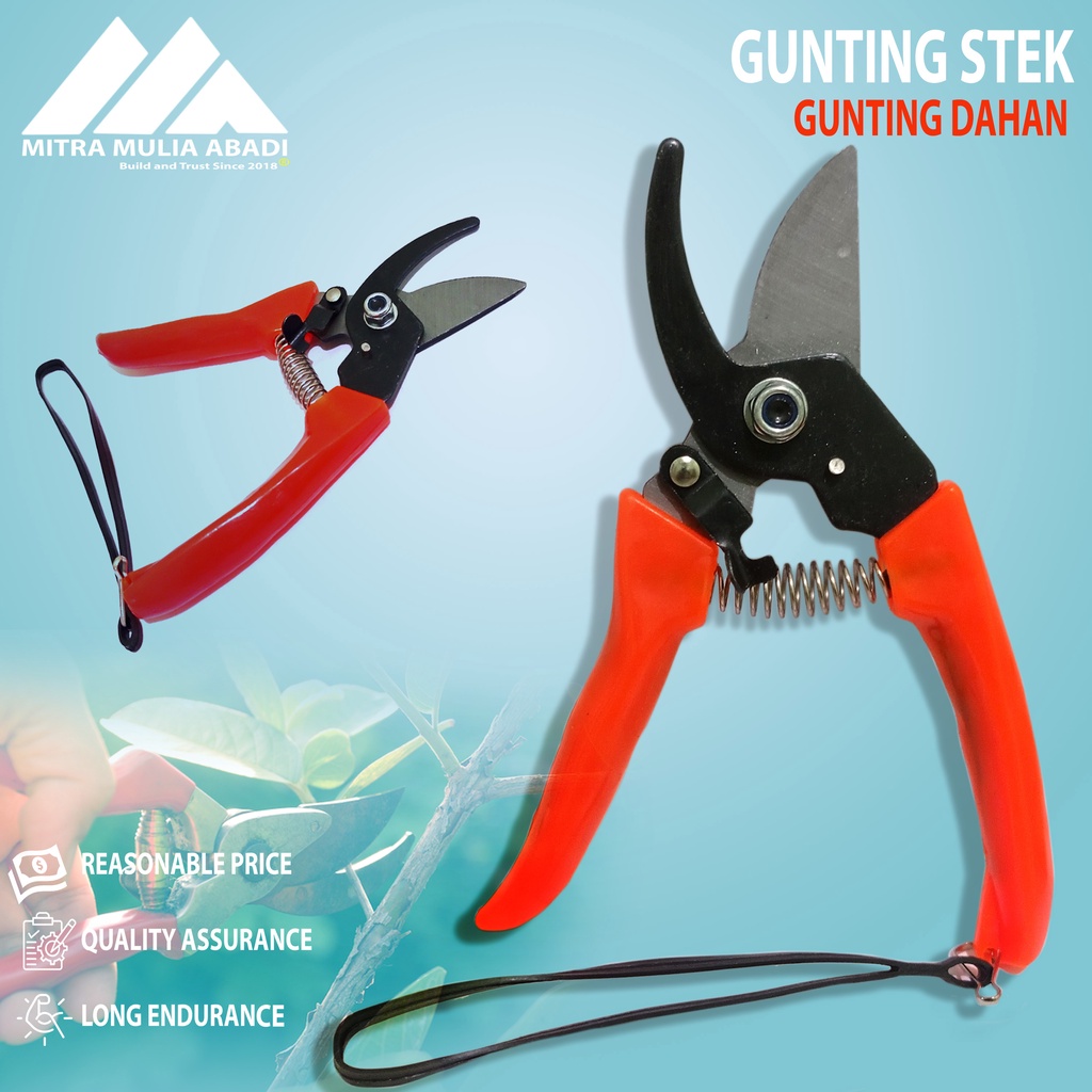 Jual Gunting Daun Ranting Buah Dahan Stek Tanaman Taman Bunga | Shopee ...