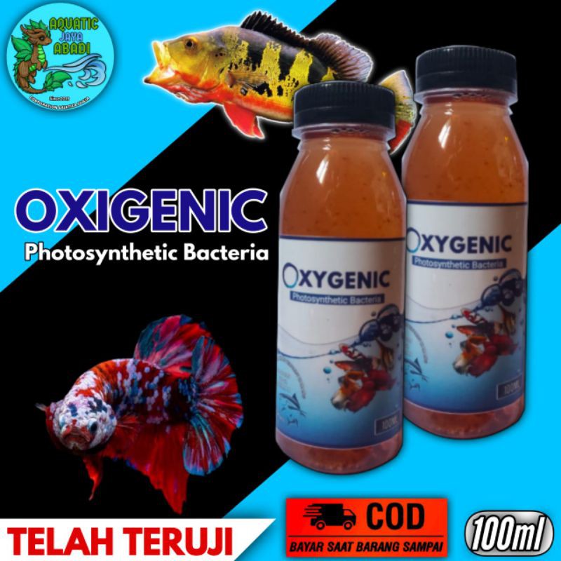 Jual Oxygenic bakteri starter 100ml probiotic kolam aquarium | Shopee ...