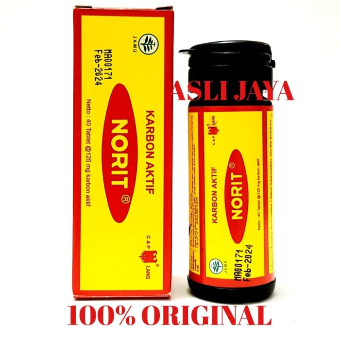 Jual NORIT KARBON AKTIF 40 TABLET CAP LANG BERKASIAT | Shopee Indonesia