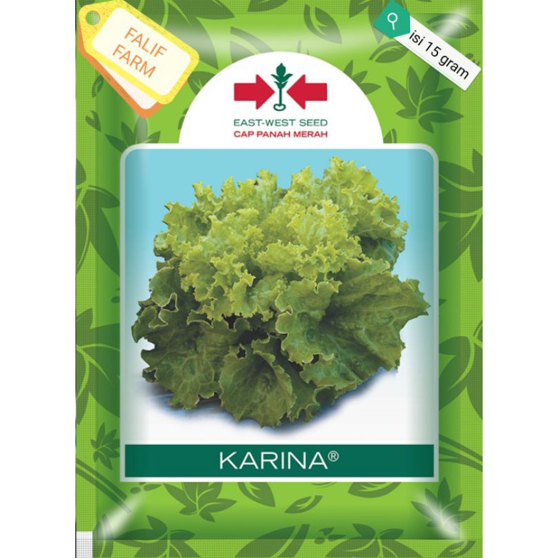 Jual Selada Keriting Hijau KARINA Kemasan 15 Gram Panah Merah (Lebih ...