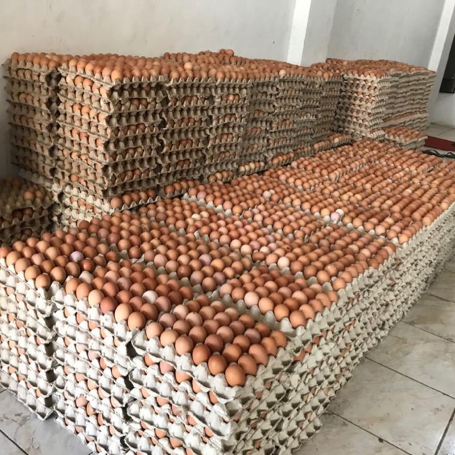 Jual Telur Ayam Ras per Kg | Shopee Indonesia