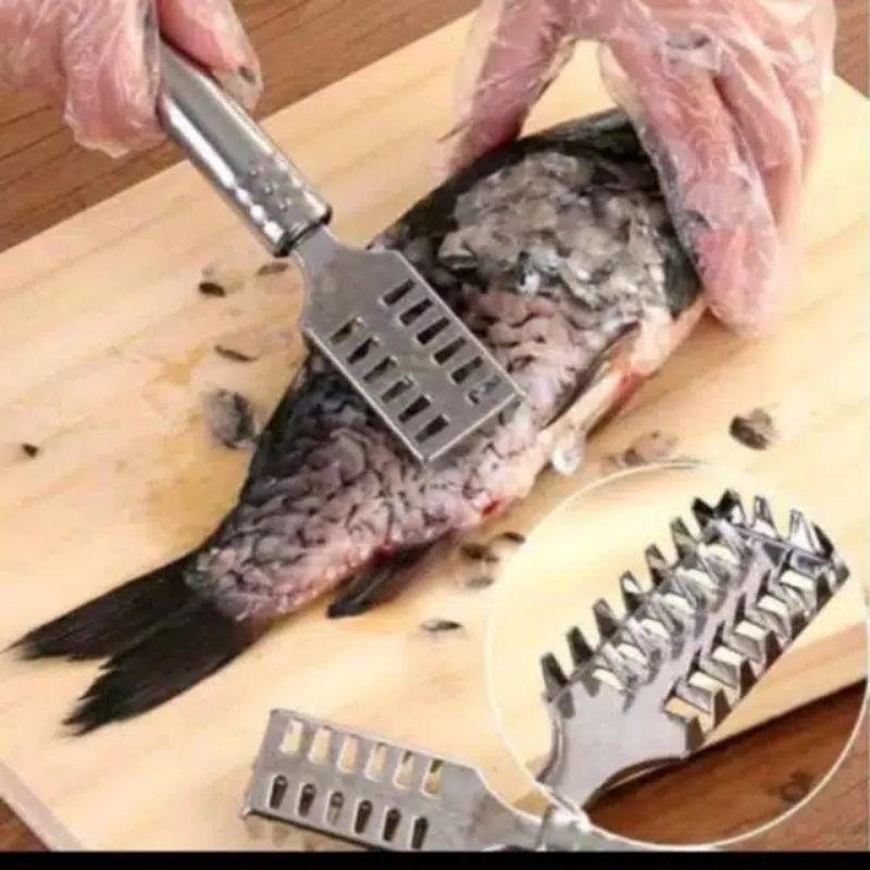 Jual Alat pengupas sisik ikan / alat pengerok kulit sisik ikan ...