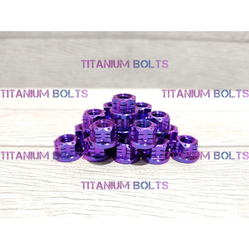 Jual Baut Titanium Bolts GR5 Mur Titanium M6 Drat 10 Original | Shopee ...