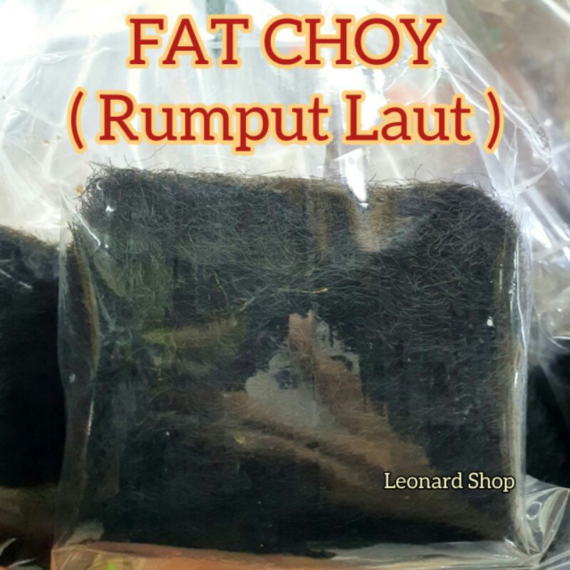 Jual Fat Choy Rumput Laut Kering Super / Dried Seaweed / Sayur Rambut ...