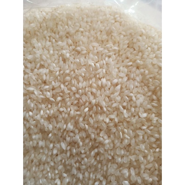 Jual Idly Rice | Shopee Indonesia