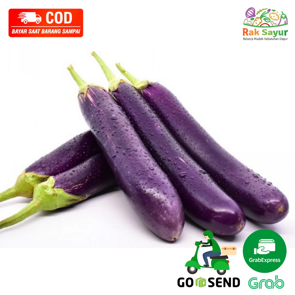 Jual Terong Terung Ungu Panjang Segar 500gr Sayuran Fresh Rak Sayur ...