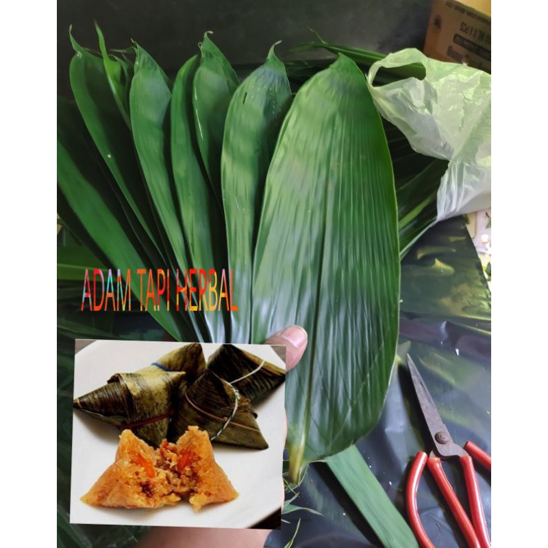 Jual daun babu bungkus bacang 1kg | Shopee Indonesia