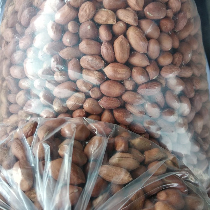Jual Kacang Tanah 1 kg Curah Grade Sedang | Shopee Indonesia
