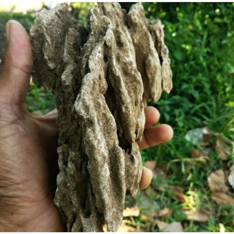 Jual BATU PASIR SANDSTONE AQUASCAPE 1 KG SAND STONE | Shopee Indonesia