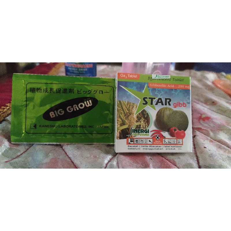 Jual paket biggrow big grow bigrow plus Star gibb ga3 tablet legend top ...